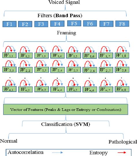 Figure 1 From Voice Pathology Detection And Classification Using Auto Correlation And Entropy