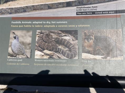 Top Things To Do In Sequoia National Park Kims History Travel
