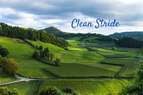 Nystrom And Associates Nal Duluth Held A Non Perishable Food Donation Drive For The Chum Food