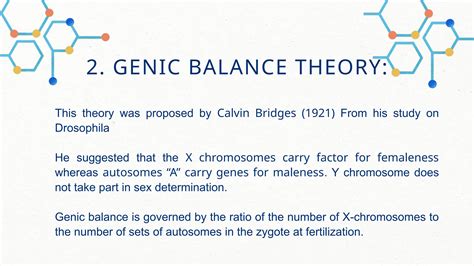 Botany Theories Of Sex Determination Pptx