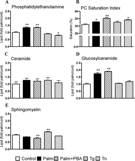 Alterations In Lipid Classes Due To Palmitate Treatment Are Not