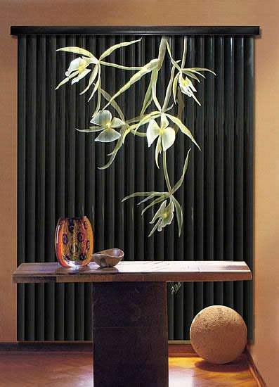 Custom Printed Vertical Blinds
