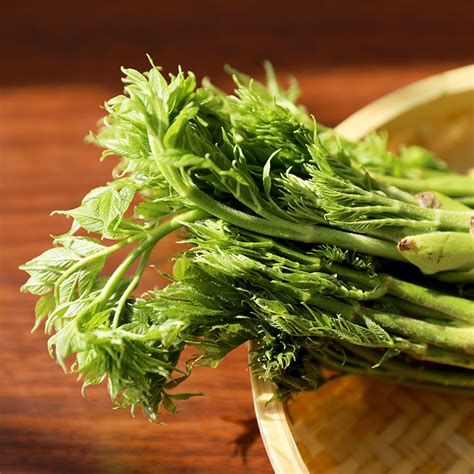 东北野生鲜刺嫩芽250g山野菜刺龙芽刺老芽4斤顺丰包邮 虎窝淘