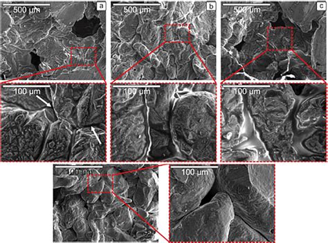 Sem Micrographs Of Cell Walls Of Al Foams Sintered At A 600 C B
