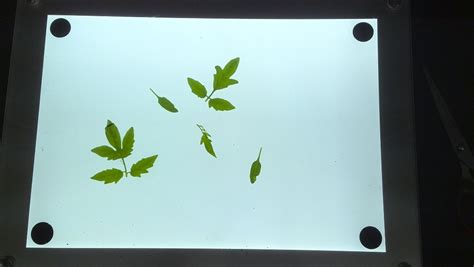 How To Detect Ellipse And Get Centers Of Ellipse Opencv Qanda Forum