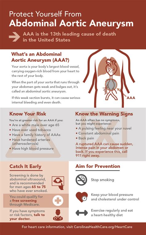 Abdominal Aortic Aneurysm Facts Artofit