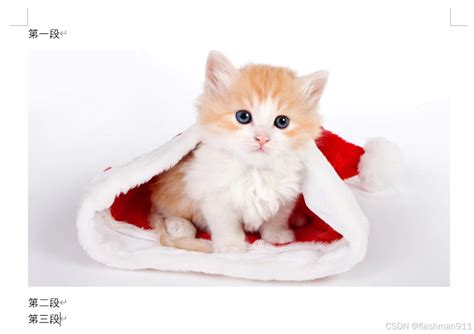 Python在word中插入图片python向word添加图片 Csdn博客