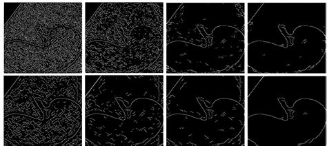 Xavier Beltran Urbano