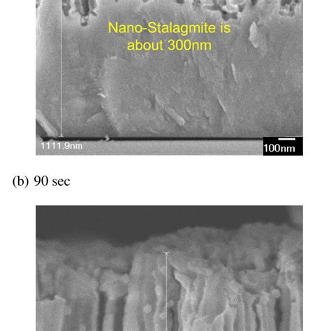 Sem Image Of Polystyrene Nanospheres Sem Image Of Polystyrene Download Scientific Diagram