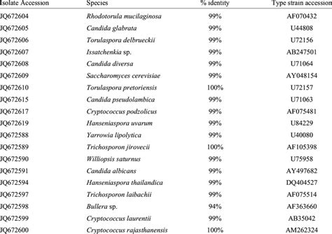 Sequence Analysis With Blast Algorithm For The 19 Isolates Sequenced Download Table