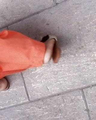 Arabic Hot Hijab Soles Porn Pictures Xxx Photos Sex Images Pictoa