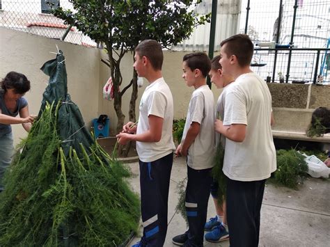 As Migui As Dixitais