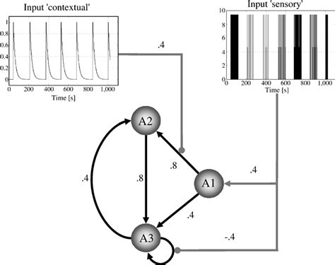 Figure 3 From Dynamic Causal Modeling A Generative Model Of Slice