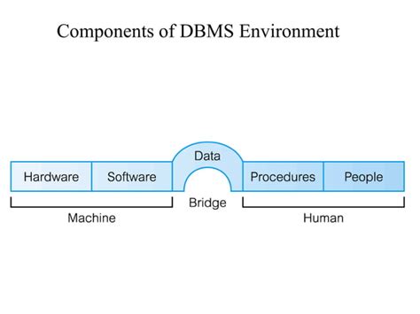 Lec4 Databases And Database Management Systemspptx