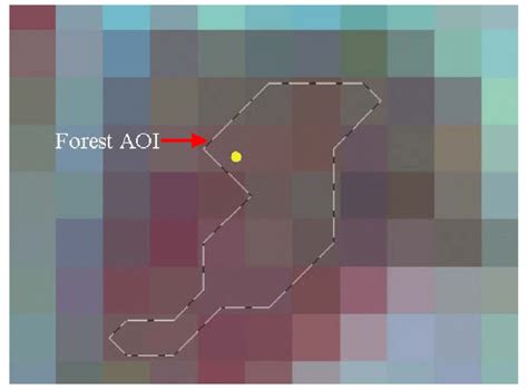 Forest Area Of Interest Aoi Over A Multispectral Landsat Tm Image Download Scientific Diagram