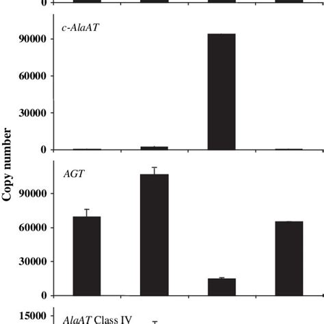 Multiple Sequence Alignment With Hierarchical Clustering Of M