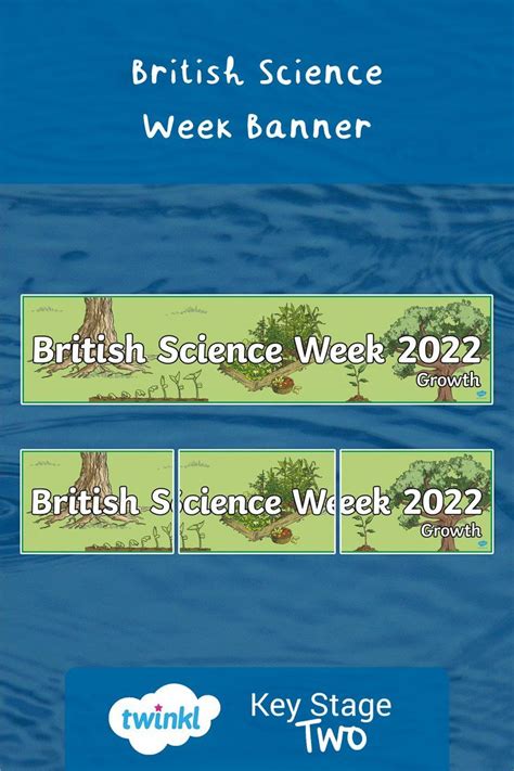 Lks2 Science Revision Booklet Artofit