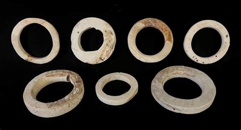 Lot A Set Of Seven Tridacna Clam Shell Arm Bands Solomon Islands Lot A Set Of Seven Tridacna Clam Shell Arm Bands Solomon Islands