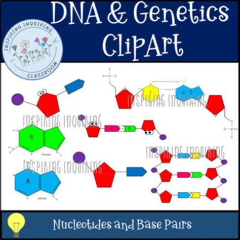 Biology Clipart Dna And Genetics By Inspiring Inquiring In The Classroom