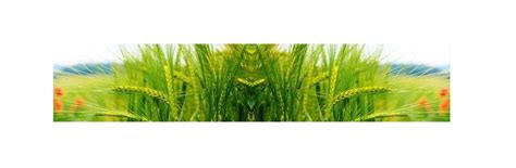 Министерство на земеделието и храните Facebook