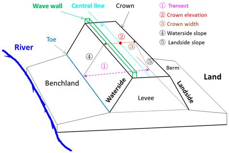The Sketch Of The Levee Elements Download Scientific Diagram