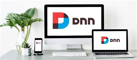 dot net nuke module development professional services