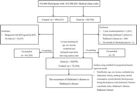 A Schematic Illustration Of The Group Of Participants Selected For Download Scientific Diagram