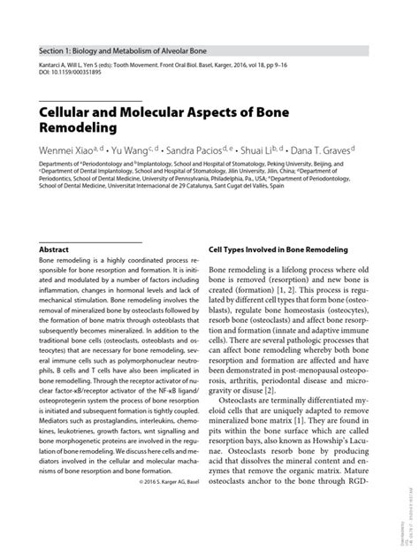 Cellular And Molecular Aspects Of Bone Remodeling Pdf Bone Osteoblast
