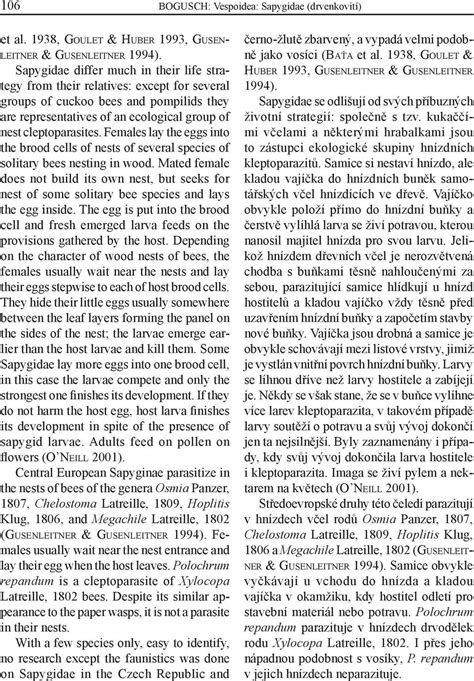 Vespoidea Sapygidae Drvenkovití Pdf Free Download