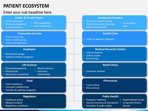 Patient Ecosystem PowerPoint And Google Slides Template PPT Slides