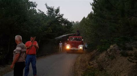 Целосно изгаснат пожарот во Струшко