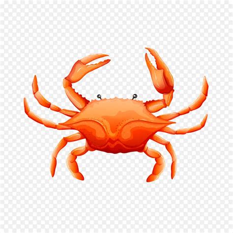 精美海鲜矢量元素PNG图片素材下载 图片编号qajzppny 免抠素材网