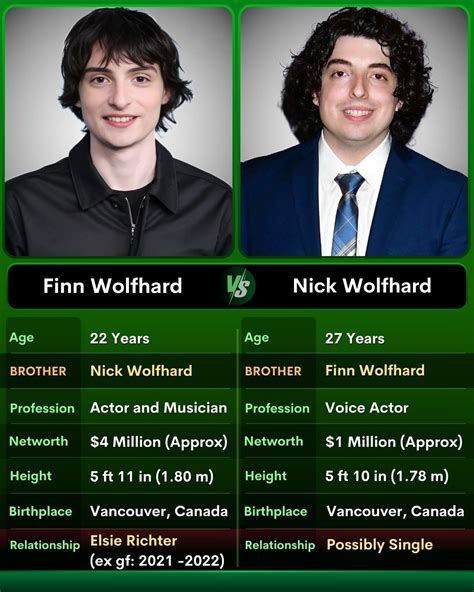 Cric Convey Finn Wolfhard And Nick Wolfhard Are The Talented Brothers