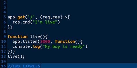 Mantener Activo Tu Bot De Discordjs En Replit Dev Community