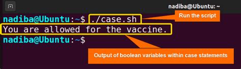 What Is Boolean Variable In Bash 3 Cases With Examples