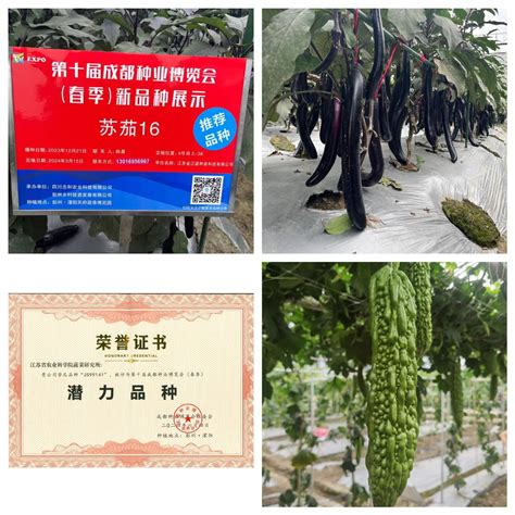 蔬菜所优新品种在国内多个种业博览会接续亮相频获推介