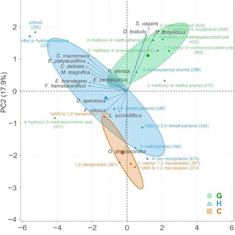 Lignin Model Structures Model Lignin 20‐mers Are Shown For A A