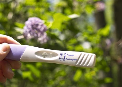 Itchy Breasts And Other Early Signs Of Pregnancy Hubpages