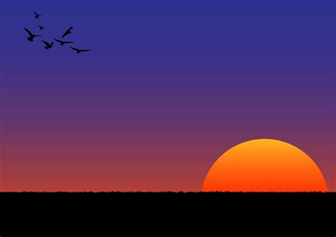Graphics Design Landscape View Sunset Vector Illustrator 8372246 Vector