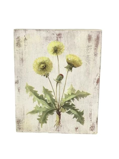 Картинка польові квіти — ціна 211 грн у каталозі Постери Купити товари для дому та побуту за