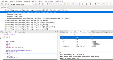 9 1 2 debugging a linux application with riscfree ide