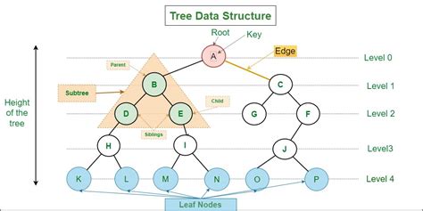 Dsa Datastructures Algorithms Trees Binarytrees Bst Avltrees Btree Abdul Malik