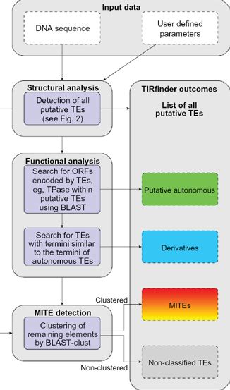 The Control Flow Through Different Phases Of The Proposed Tes Detection Download Scientific