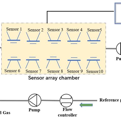 Schematic Diagram Of The Experimental E Nose System Download