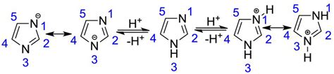Resonance Structures Of Imidazole ³ Download Scientific Diagram