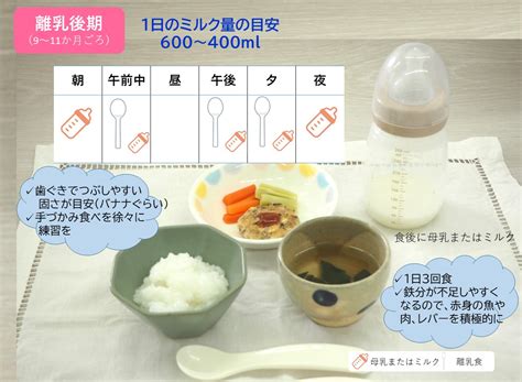【こどもの食コラム】離乳期の母乳・育児用ミルクの目安量／摂津市
