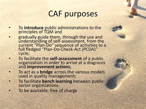 Common Assessment Framework Pdf