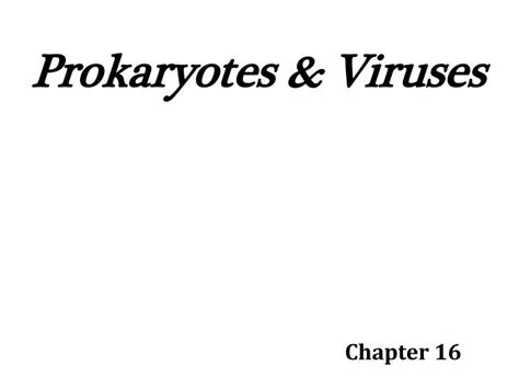 PPT Prokaryotes Viruses PowerPoint Presentation Free Download ID