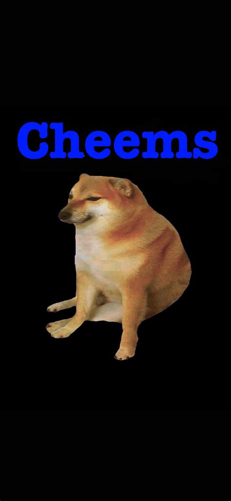 A Cheems Wallpaper Rcheemsburgerlore