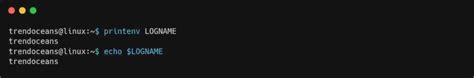 How To Set Environment Variables In Linux TREND OCEANS